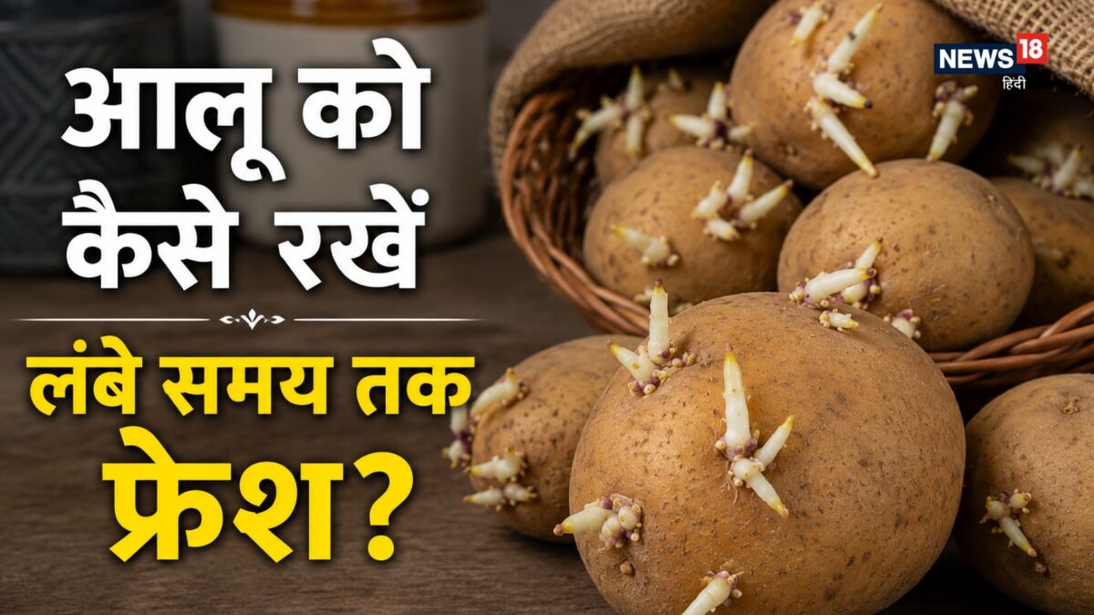अंकुरित आलू फेंकें या खाएं? पहले जान लें सही तरह से स्टोर करने का तरीका ...