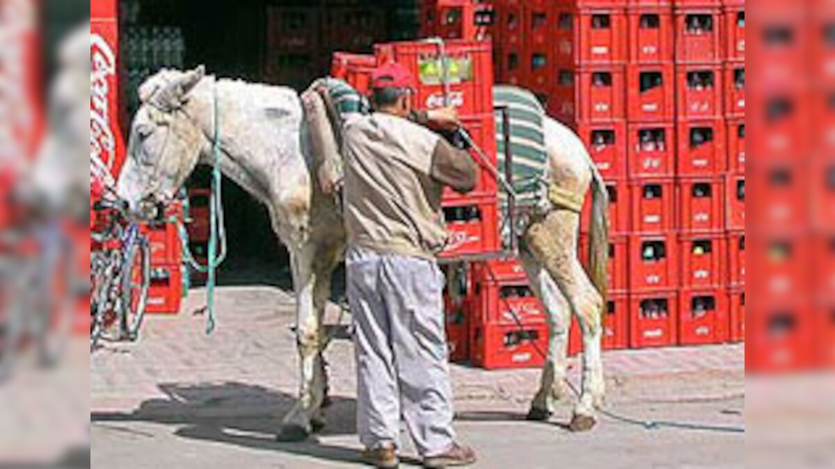 RJD makes donkeys down colas