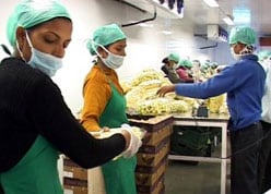 Retail to drive agriculture forward - News18