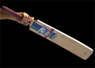 Election Symbols Bat