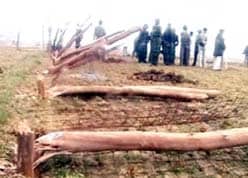 Locals attack Tata's Singur plant site - News18