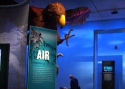 Ramayana 's Garuda alive in NYC - News18