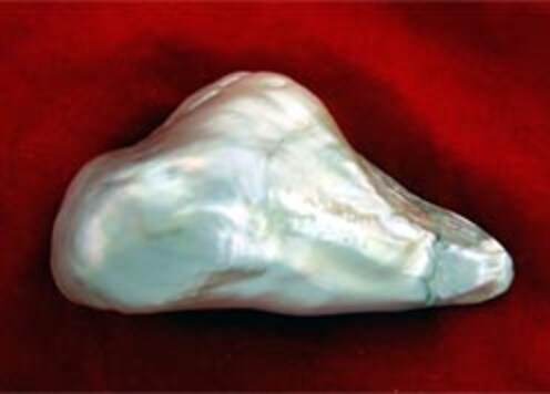 World's largest pearl on auction - News18