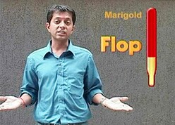 Filmy Fiscal: Salman's Marigold sinks at the BO - News18