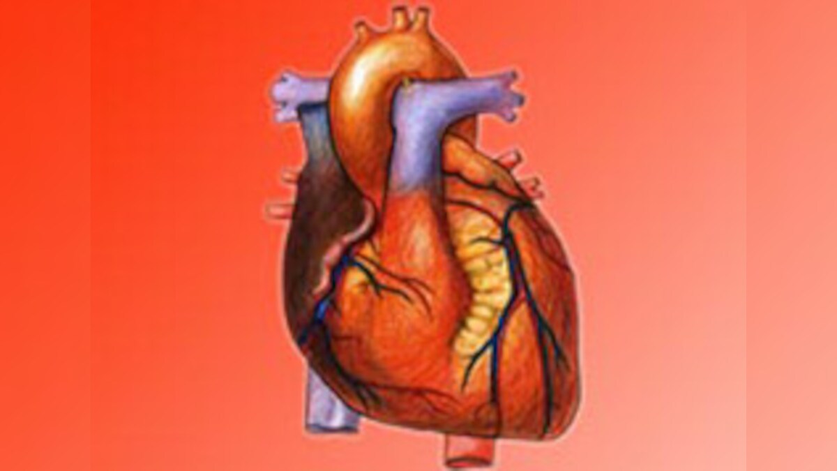 'Mutant' proteins may open up blocked arteries - News18