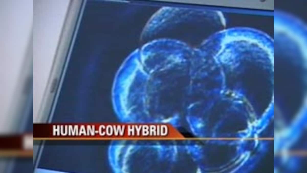 Human-cow hybrid embryo stirs debate in UK Parliament - News18