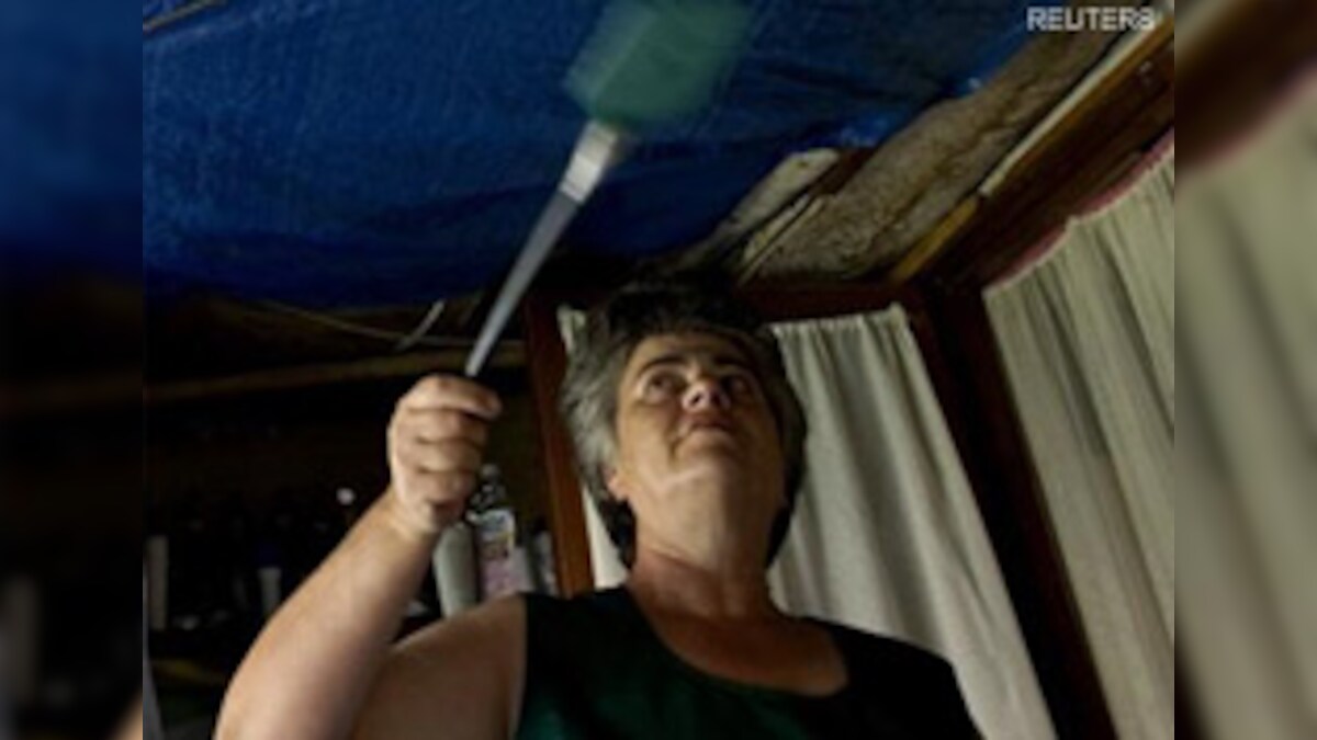 The mystery behind the art of fly swatting unravelled - News18