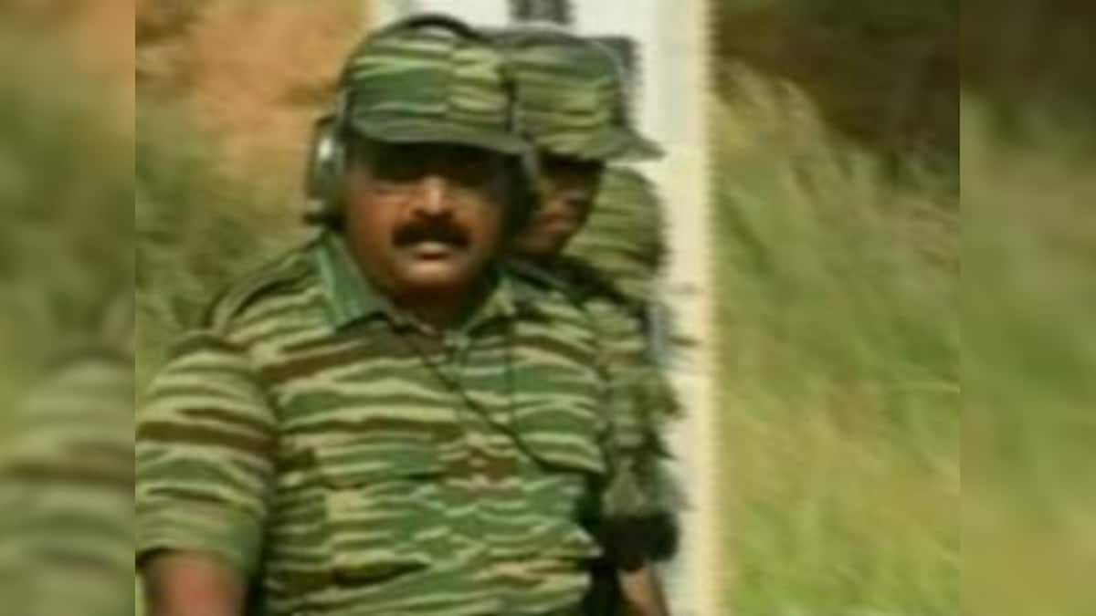 Wish Prabhakaran was captured alive: Rajapaksa
