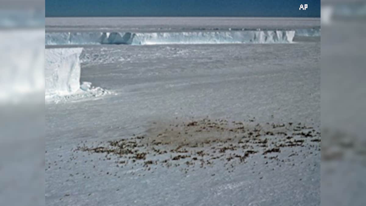 Scientists track penguin poop from space