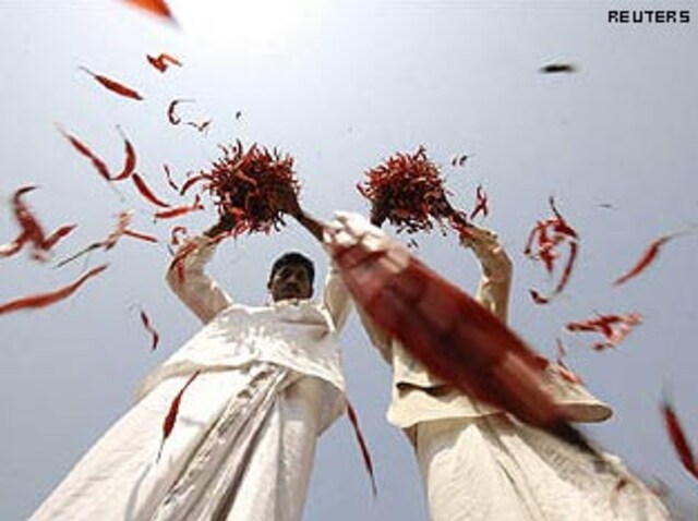 New defence tactic: Red chilli special hand grenades - News18