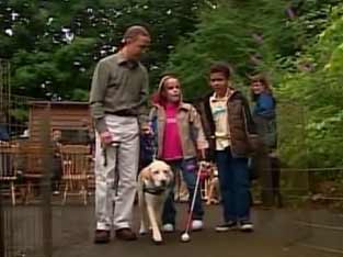 Watch: Meet the next generation of guide dogs - News18