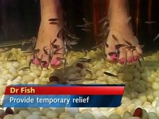 Watch: Fish pedicure, a new spa concept - News18