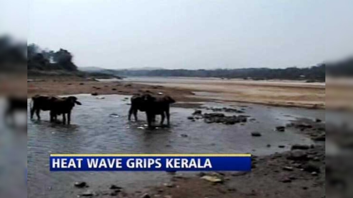 Heat wave in Kerala; humans, animals bear the brunt