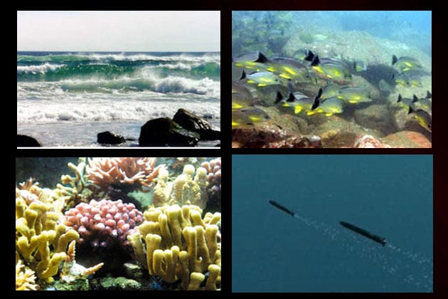 Goa's underwater relics under threat