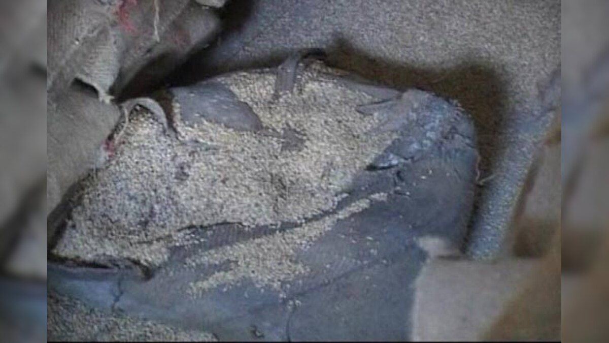 Grains rot as flood victims go hungry - News18