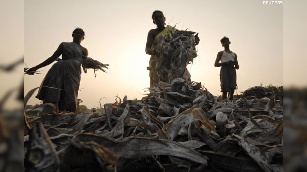 Alert sounded in Andhra ahead of Cyclone Jal