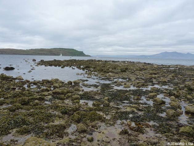 Wee Cumbrae: Ramdev's $3.3 million yoga island - News18