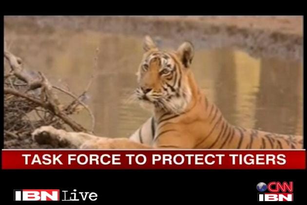 Karnataka sets up special tiger protection force - News18