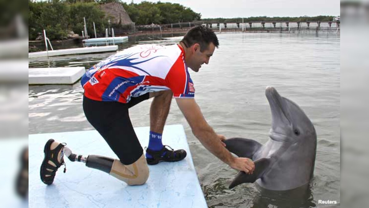 Chennai: Dolphin caught in fish net near Kovalam dies