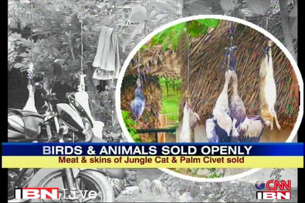 Rare birds, animals sold in Puducherry - News18