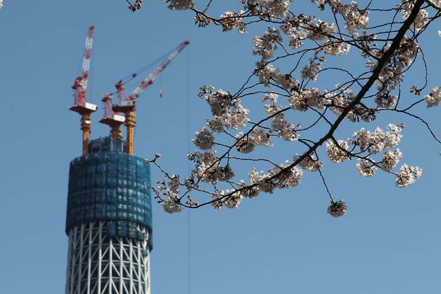 Tokyo Skytree: The world's tallest tower - News18