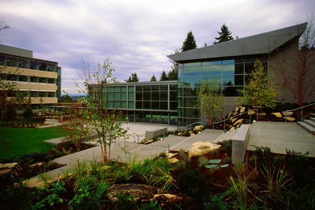 Inside the Microsoft headquarters - News18