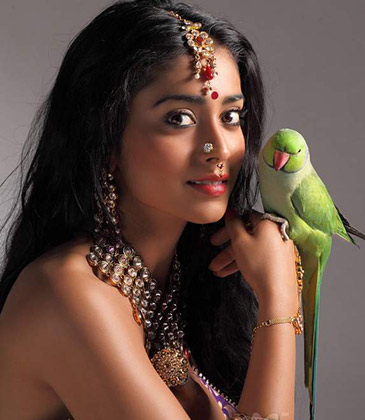First Look: Shriya Saran in Kannada film 'Chandra'