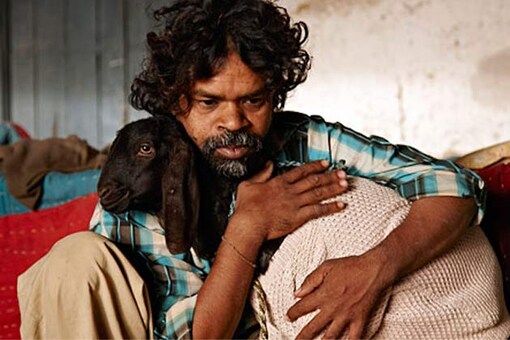 Opium: Anusha Rizvi to direct her next with husband - News18