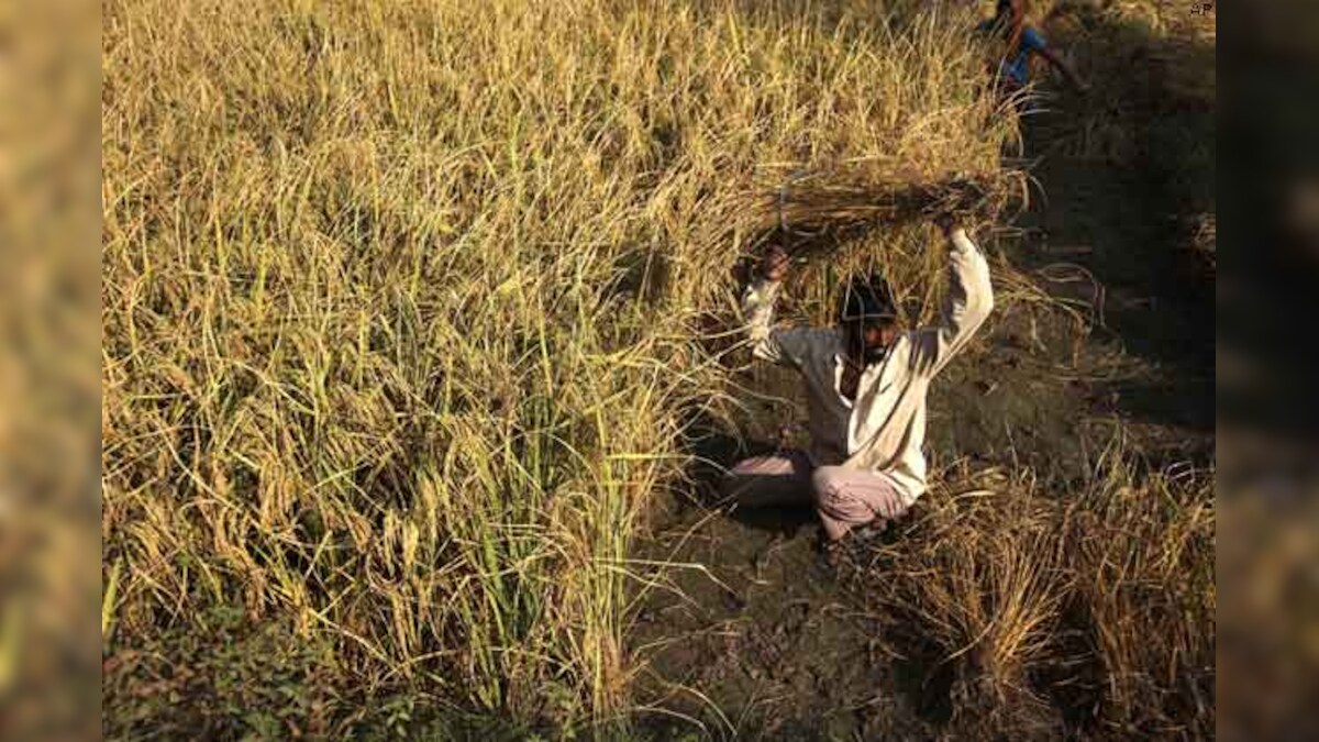 Odisha launches Rs 1 per kg rice scheme for poor