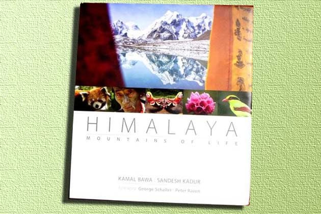 Himalaya: Mountains of Life is a visual treat