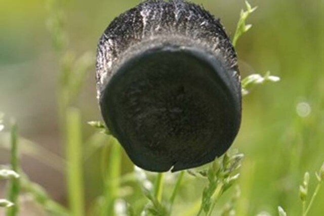 Chinese scientists create world's lightest material - News18