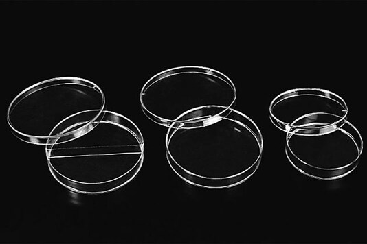 Julius Richard Petri: What is a Petri dish and why was it invented?
