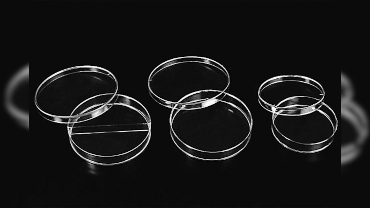 Julius Richard Petri: What is a Petri dish and why was it invented ...