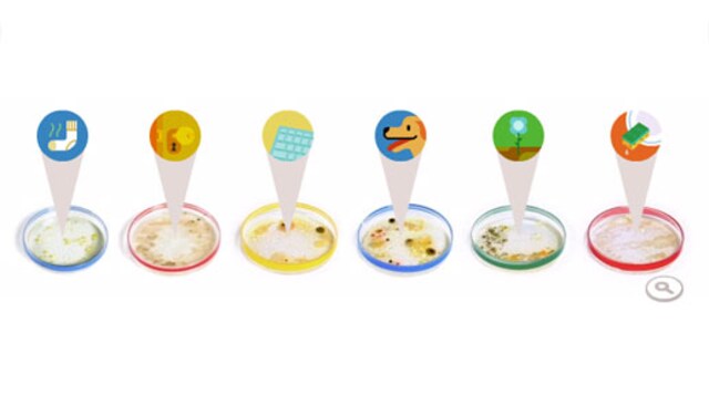 Google cultures a Julius Richard Petri doodle on 6 Petri dishes - News18