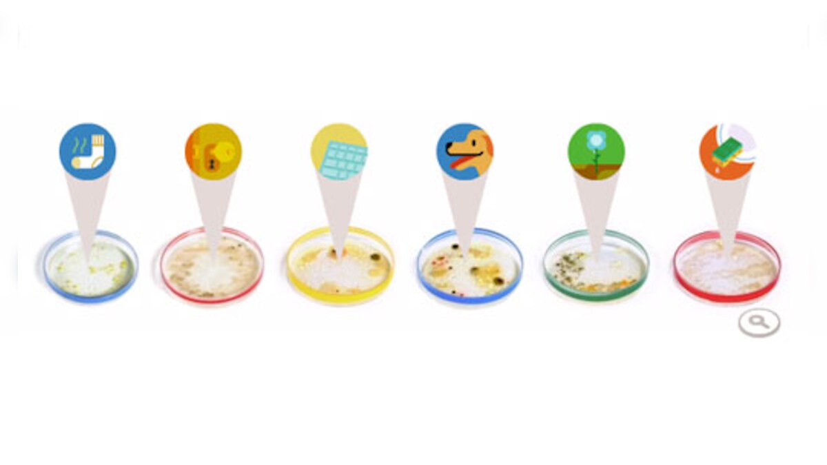 Google cultures a Julius Richard Petri doodle on 6 Petri dishes - News18