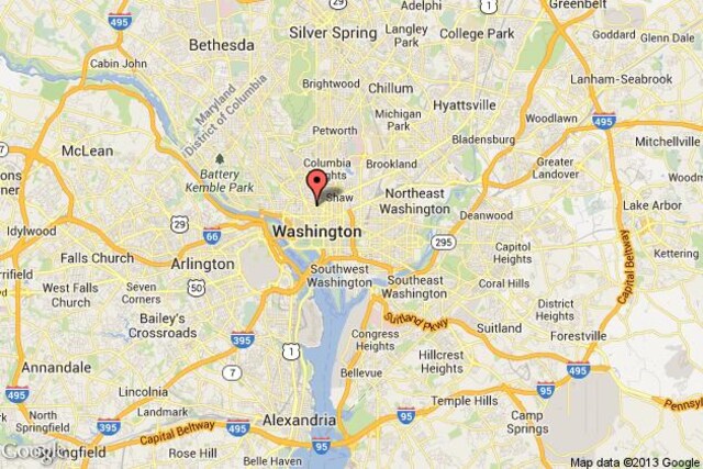 Scientists create glow-in-the-dark rabbits using transgenesis technique ...