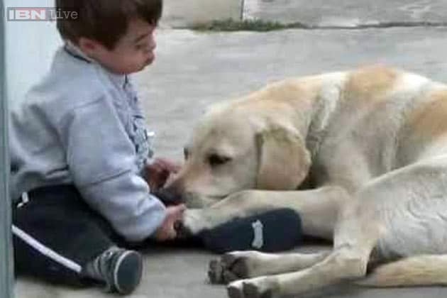 Watch: How a dog befriends a reluctant little boy with Down Syndrome