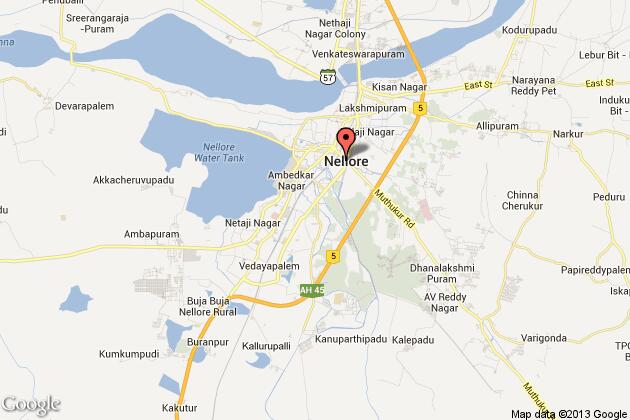 Andhra Pradesh: Eight killed in road accident in Nellore