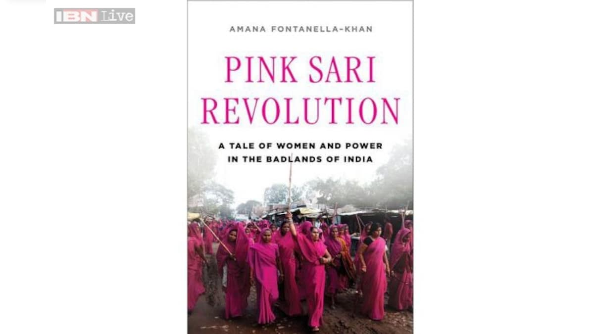 Pink Sari Revolution: The story of Sampat Pal, Gulaabi Gang