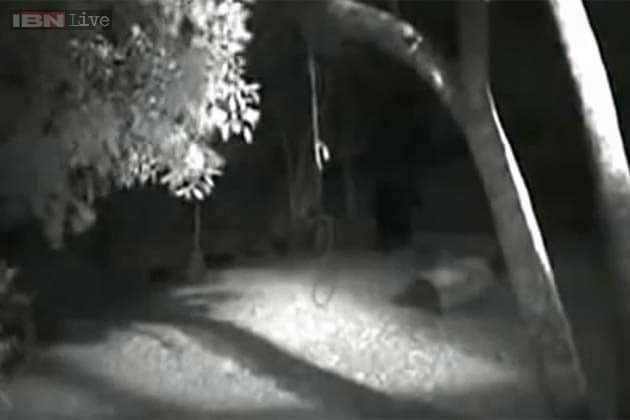 CCTV footage captures half-animal, half-human form in Brazil locals ...