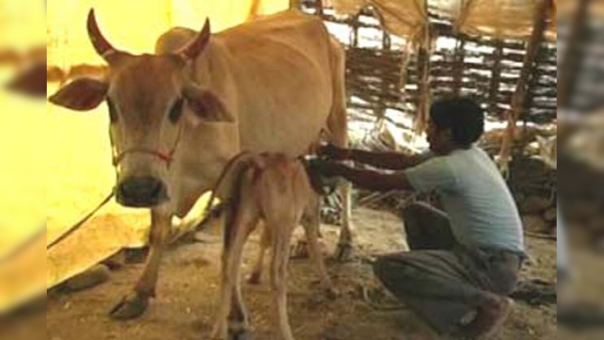 69-year-old priest contests elections to stop cow slaughter - News18