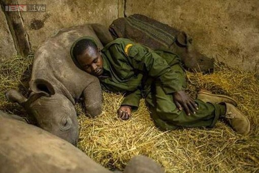 These 38 photos of helpless animals being rescued will restore your ...