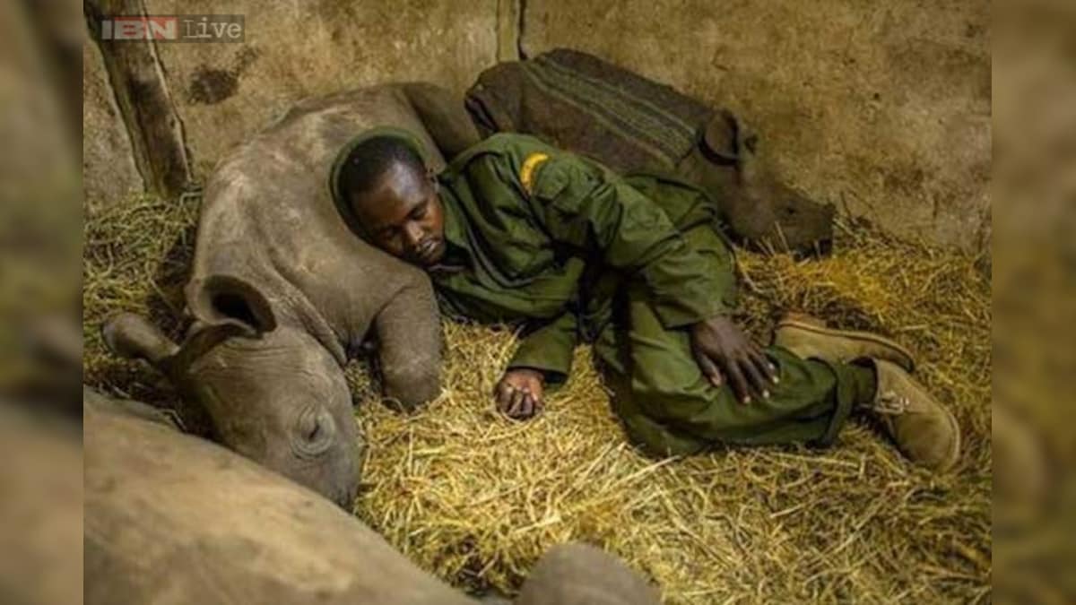 These 38 photos of helpless animals being rescued will restore your ...