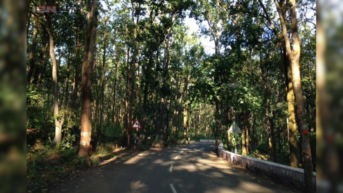 Activists voice concern over shrinking forest cover