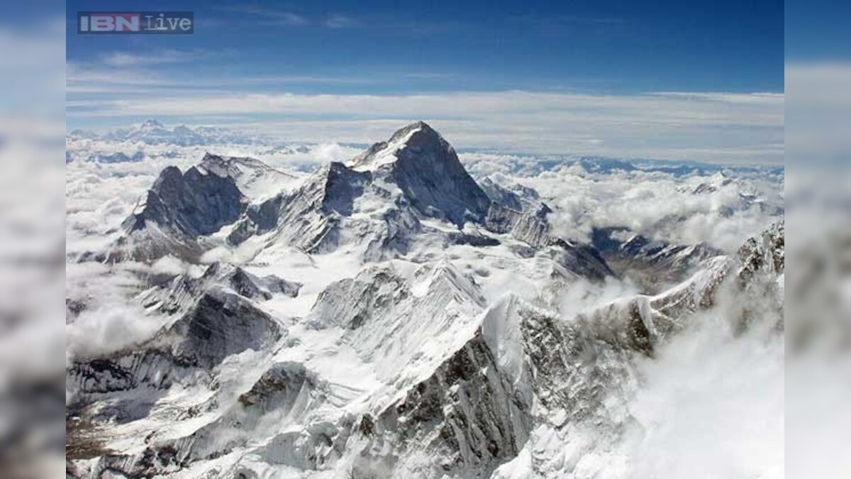 Have we found the Sanjeevani? Indian scientists find a 'wonder herb' in ...