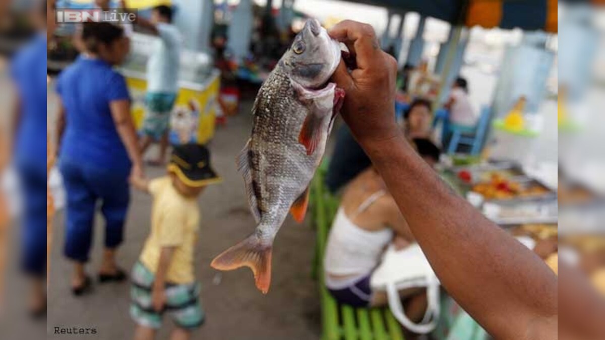 Delhi produces 680 tonnes fish - News18