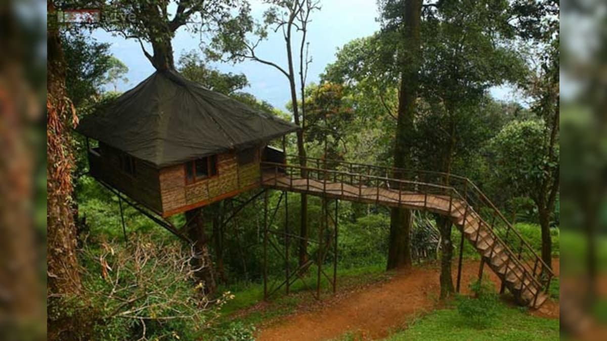 Ever dreamed of a secret hideout in a tree house? 14 luxurious tree ...