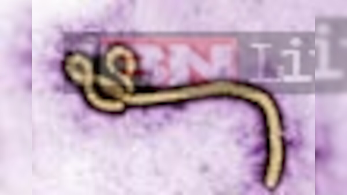 TV adaptation of Ebola best-seller 'The Hot Zone' in the works - News18