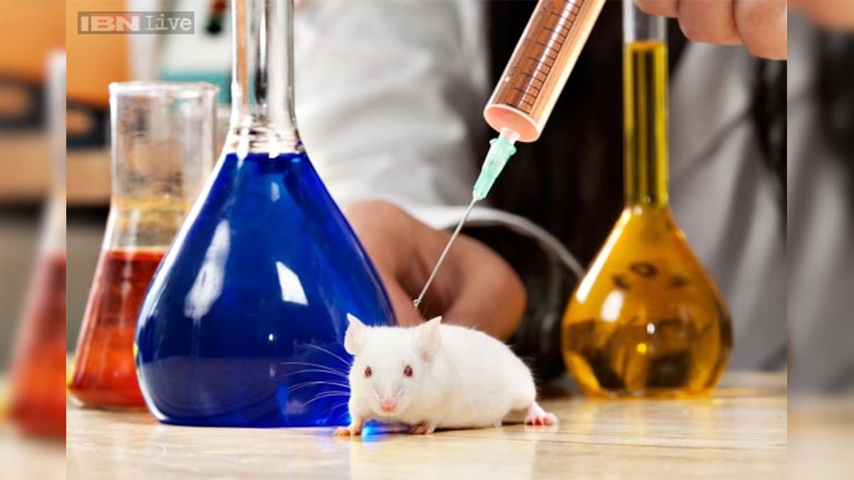 Scientists succeed in turning mice transparent