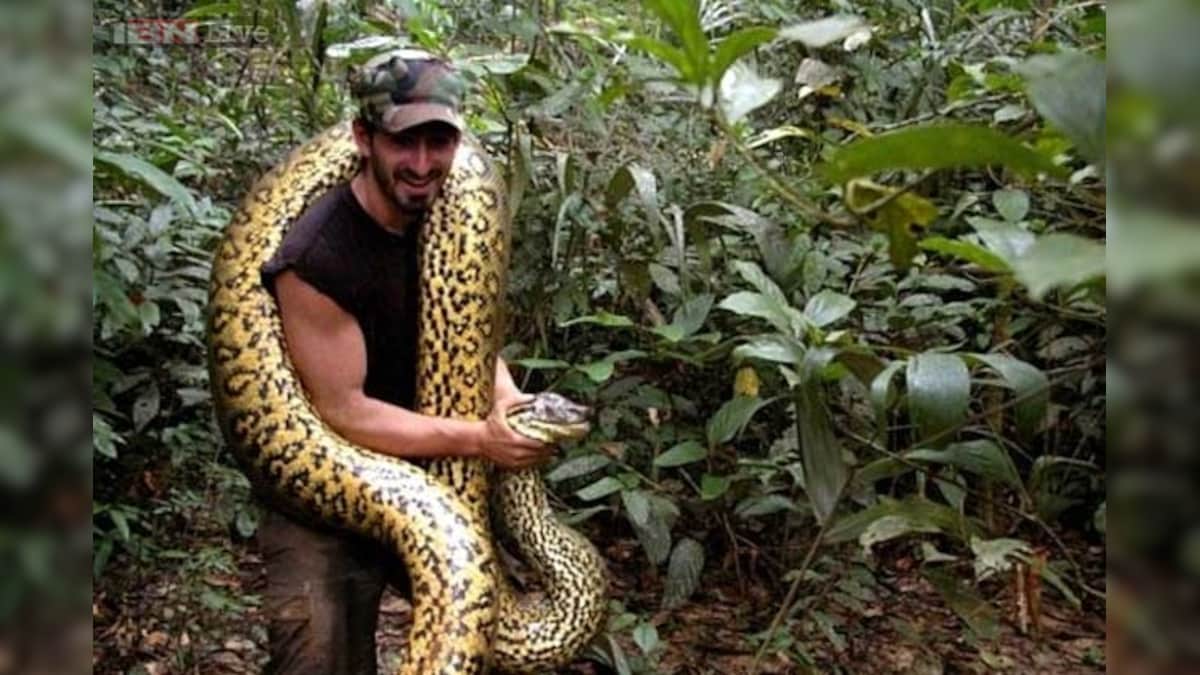 US naturalist Paul Rosolie swallowed alive by anaconda for TV show